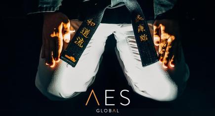 Home | AES Global